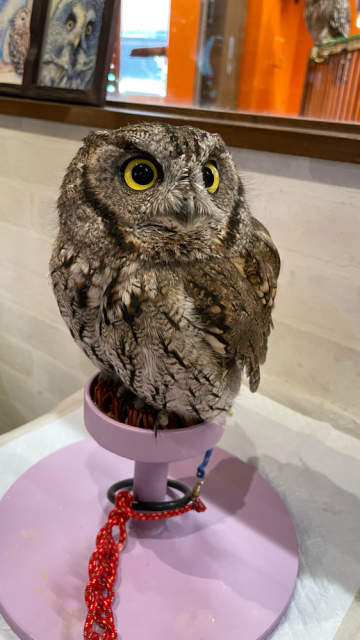 EV充電スタンド情報 GoGoEV